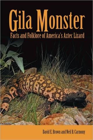 Gila Monster: Facts and Folklore | BUY reptile supplies | The Painted ...