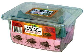 Nature Zone Cricket Breeding Kit | BUY reptile supplies | The Painted ...