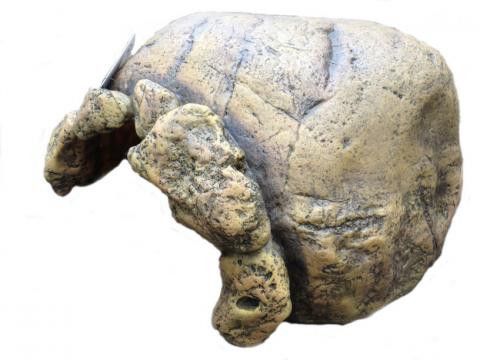 Exo Terra Tortoise Cave | BUY reptile supplies | The Painted Reptile ...