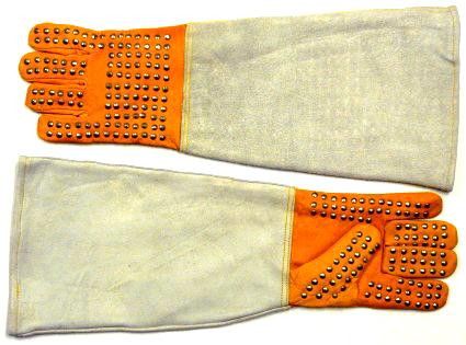 Professional handling gloves - The Painted Reptile