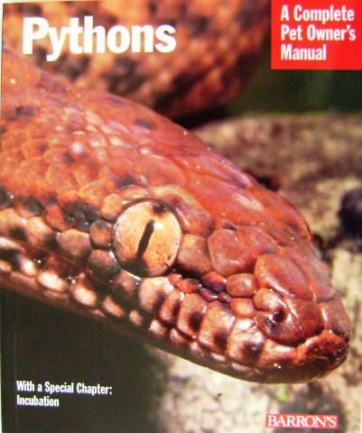 Pyhtons | BUY reptile supplies | The Painted Reptile - The Painted Reptile