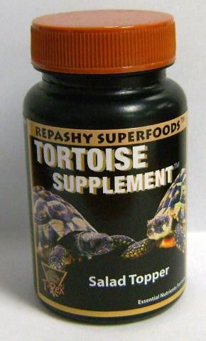 T-Rex Tortoise Dust - The Painted Reptile